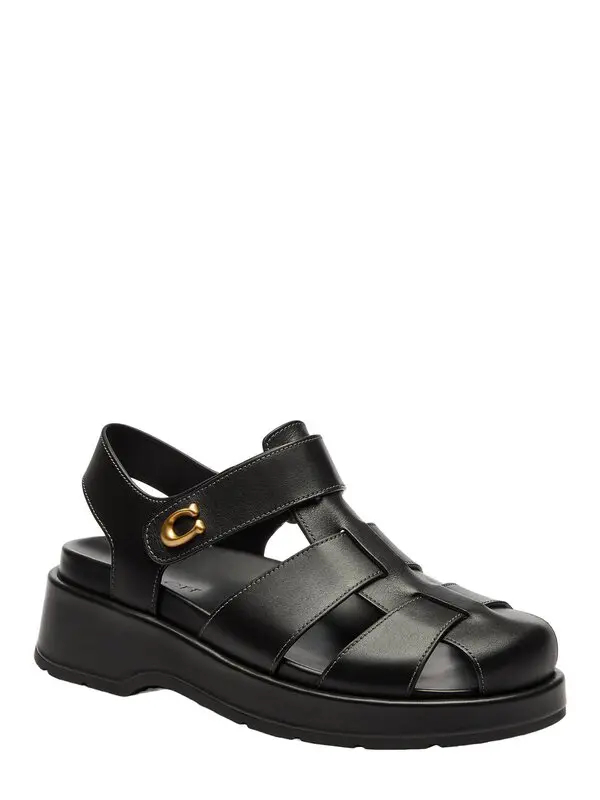 COACH Sculpted C Fisherman Sandal - Black