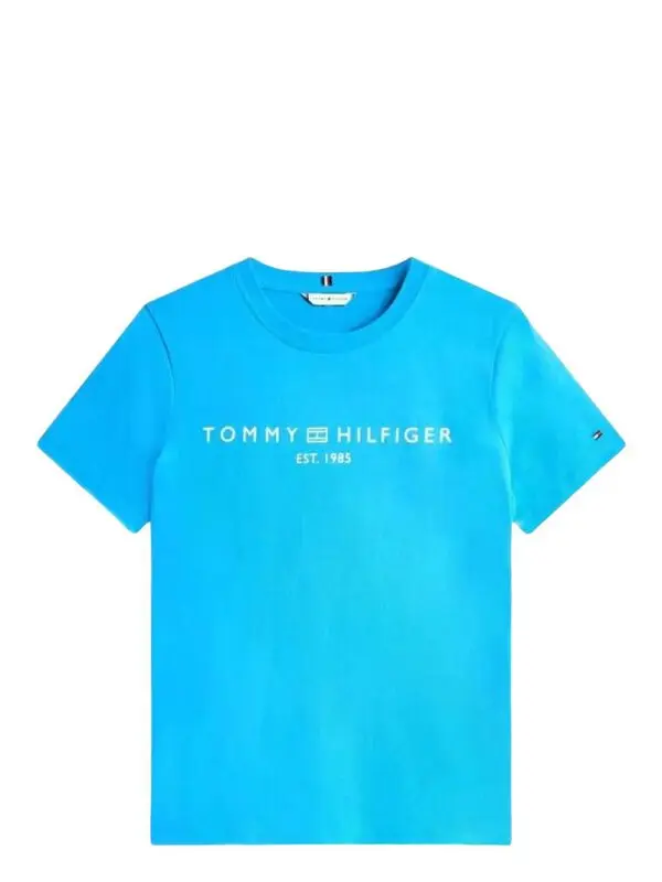 Tommy Hilfiger Logo Print Cotton T-shirt - Blue