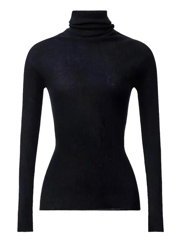 Fabiana Filippi Ribbed Roll-neck Sweater - Blue