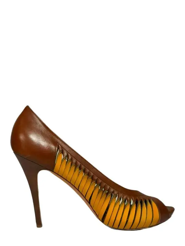 Alexander McQueen Color-block Pumps - Brown
