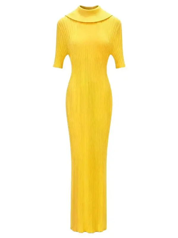 Elisabetta Franchi Ribbed-knit Roll-neck Midi Dress - Yellow