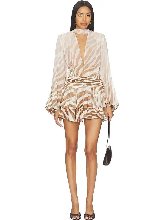 BRONX BANCO Nina Zebra Print Chiffon Mini Dress - Brown Multi