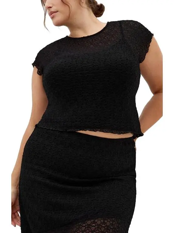 City Chic Brie Lace Knit Top - Black
