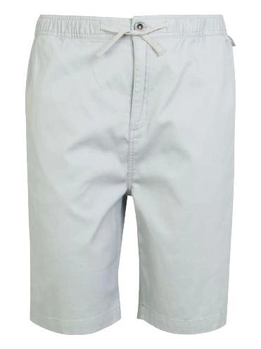 REGATTA Aldan Chino Shorts - Silver Grey