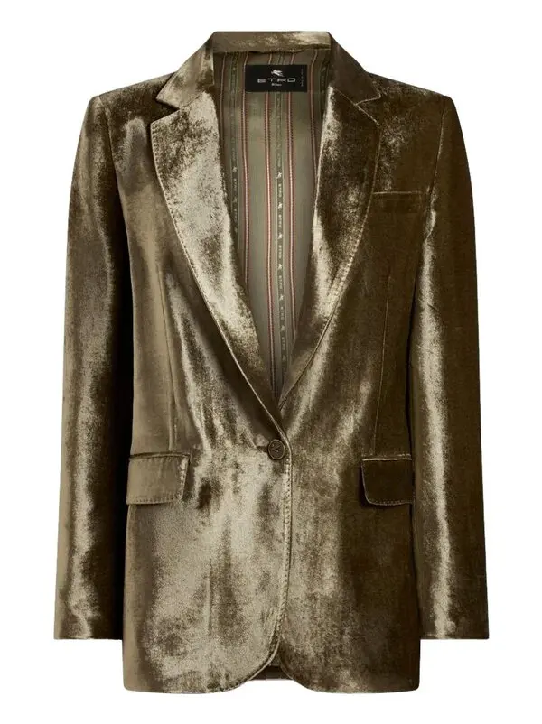 Etro Velvet Single-breasted Blazer - Brown
