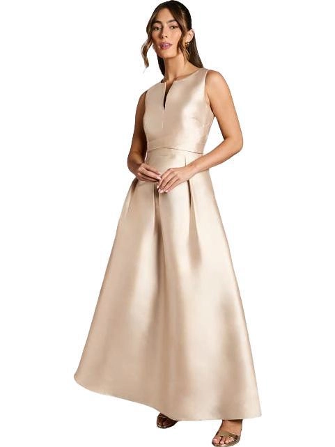 Coast Fit And Flare Sleeveless Dress With Notch Neckline - Champagne