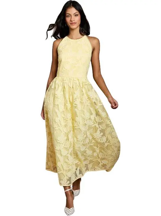 Coast Petite Halterneck Lace Midi Dress - Butter
