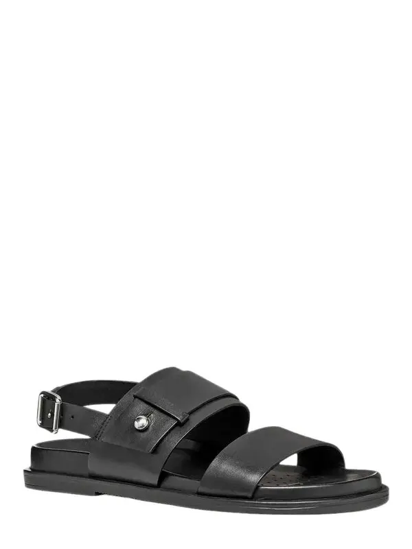 Geox Adelash Buckle-fastening Double-strap Sandals - Black