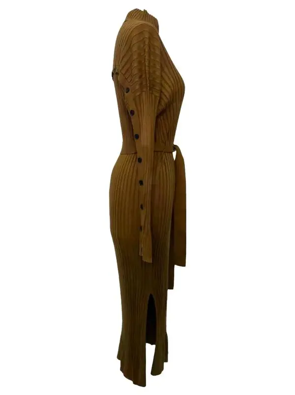 Proenza Schouler Ribbed Knit High Neck Belted Dress - Brown