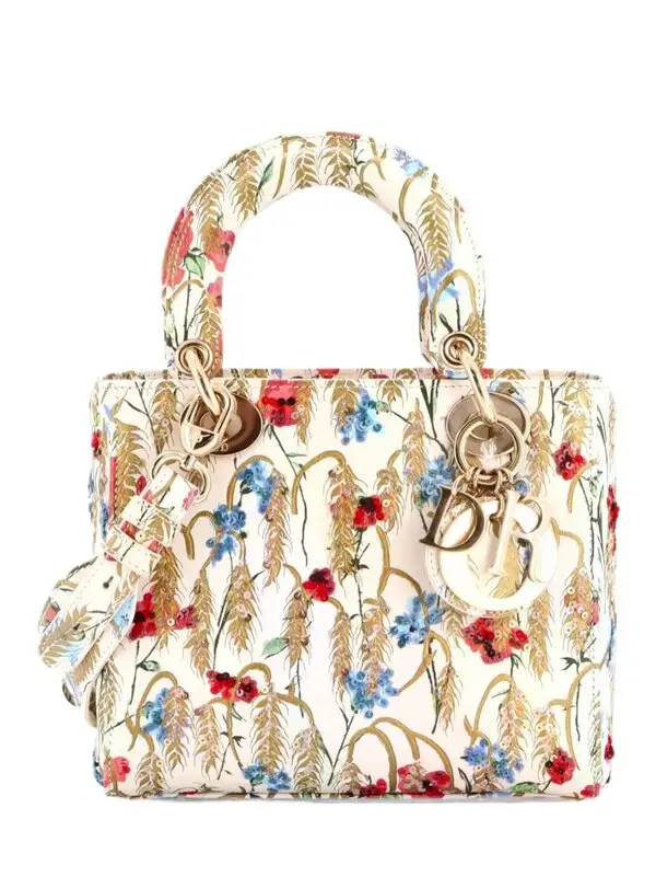 Dior Lady Embroidered Printed Leather Satchel - Multicolour