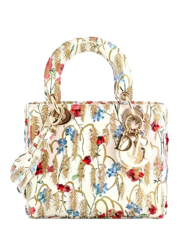 Dior Lady Embroidered Printed Leather Satchel - Multicolour