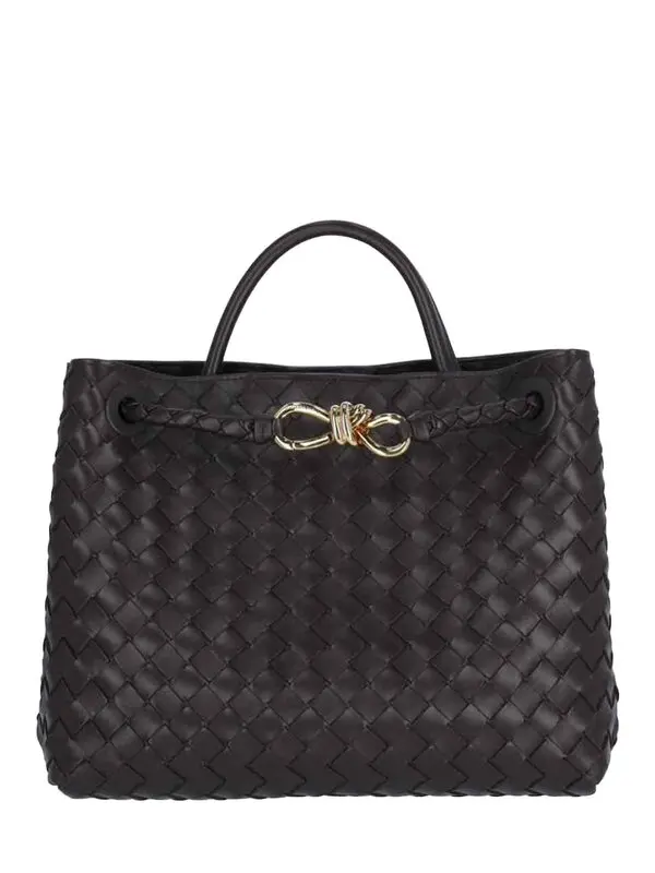 Bottega Veneta Medium Andiamo Bag - Brown