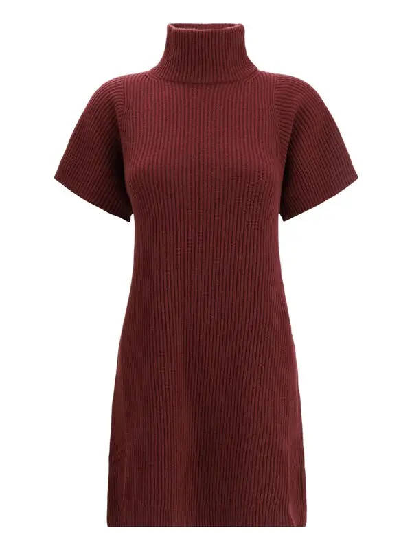 Brunello Cucinelli Ribbed Virgin Wool & Cashmere Blend Turtleneck Mini Dress - Amaranth
