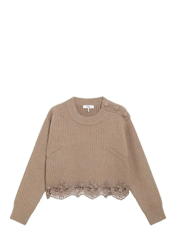 Chloé Cropped Wool-cashmere Sweater With Lace Trim - Brown