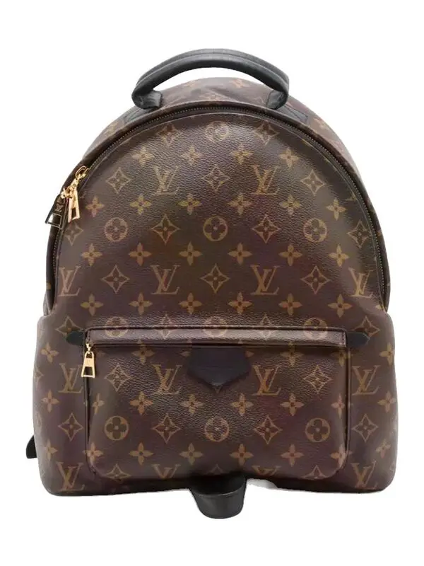 LOUIS VUITTON 2019 Monogram Palm Springs Mm Backpack - Brown