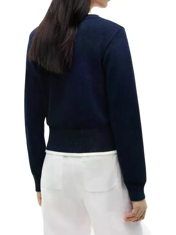 Tommy Hilfiger Embroidered Contrast Trim Sweater - Blue