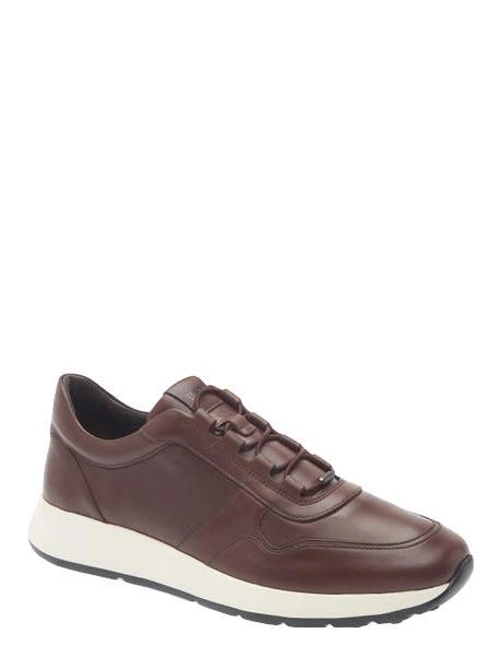 TOD'S Sportivo Red Dot Sneakers - Caffe