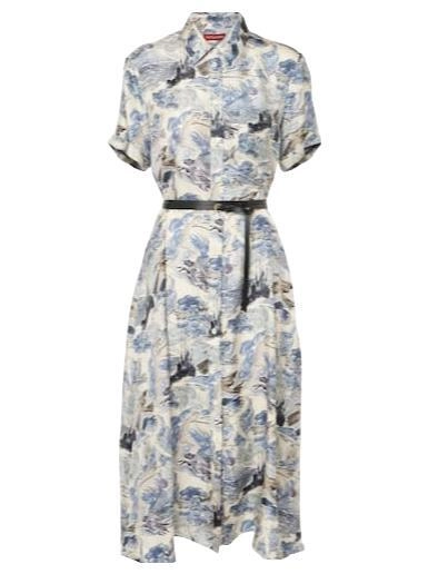 Altuzarra Kiera Printed Silk Shirt Dress - Gray