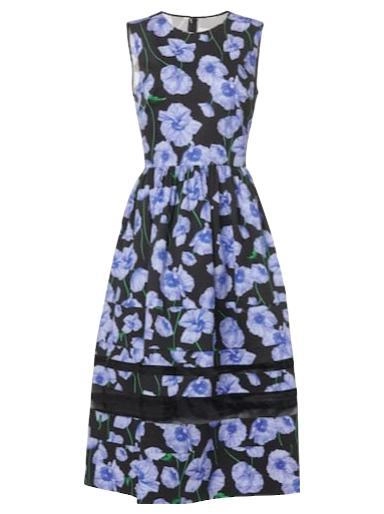Carolina Herrera Floral Cotton-blend Midi Dress - Black