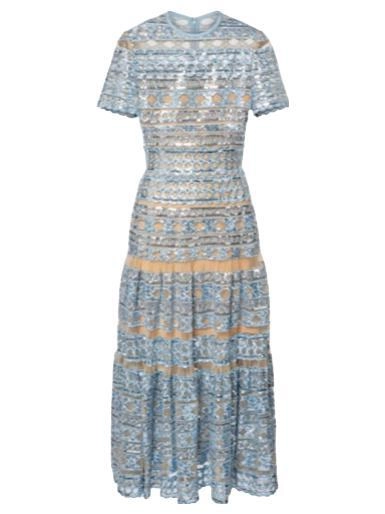 Elie Saab Embroidered Tulle Maxi Dress - Gray