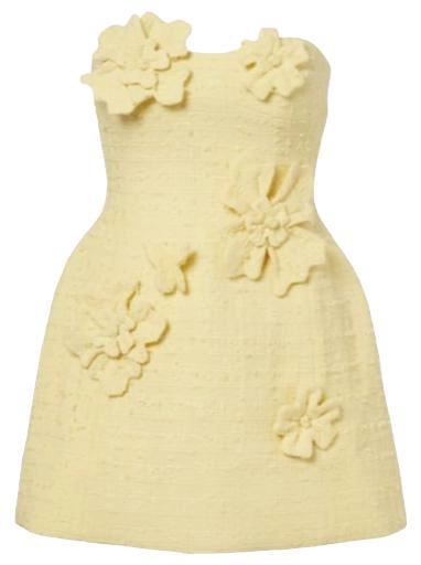 LEO Lin Rosario Tweed Bustier Dress With 3d Floral Appliques - Nude
