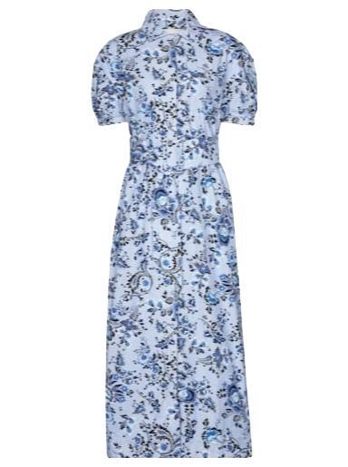 Erdem Frederick Cotton Poplin Midi Dress With Graphic Vine Print - Blue