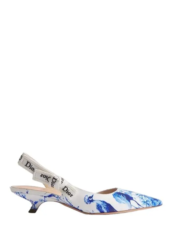 Dior Pointed-toe Slingback High-heeled Sandals - White/blue