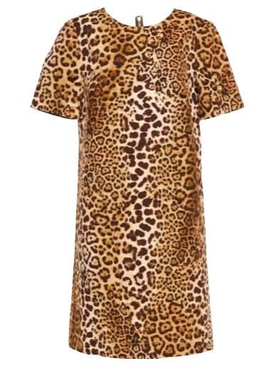 Carolina Herrera Leopard Print Mini Dress - Brown