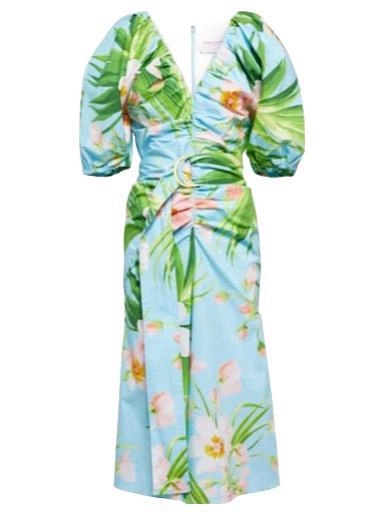 Carolina Herrera Printed Puff Sleeve Midi Dress - Green