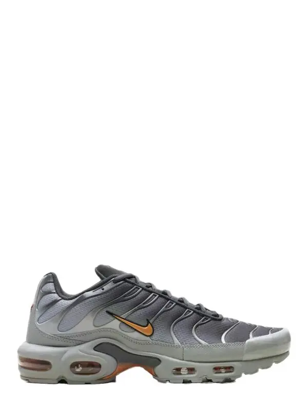 Nike Max Plus Sneakers - Grey