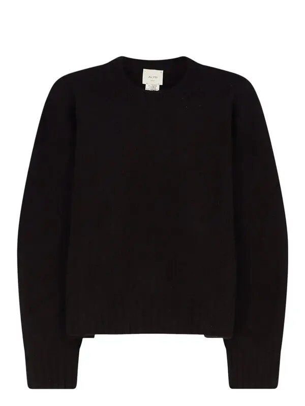 ALYSI Merino Wool And Cashmere Blend Sweater - Brown