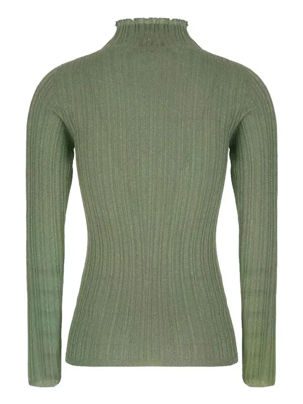 Fabiana Filippi Ribbed-knit Roll-neck Sweater - Green