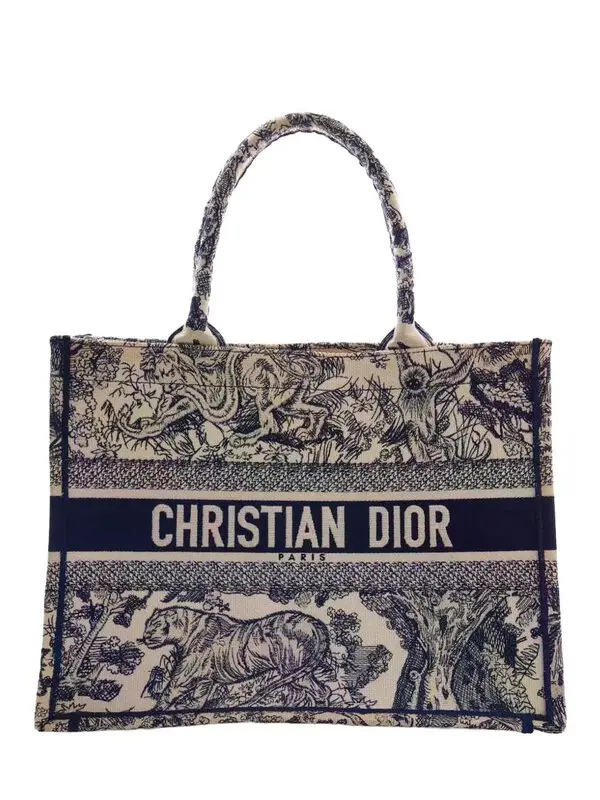 Dior Canvas Embroidered Book Tote Bag - Blue