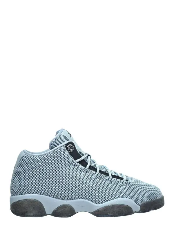 JORDAN Horizon Low Gs - Grey