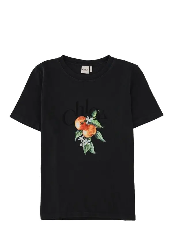Chloé Cotton Jersey T-shirt With Logo - Black