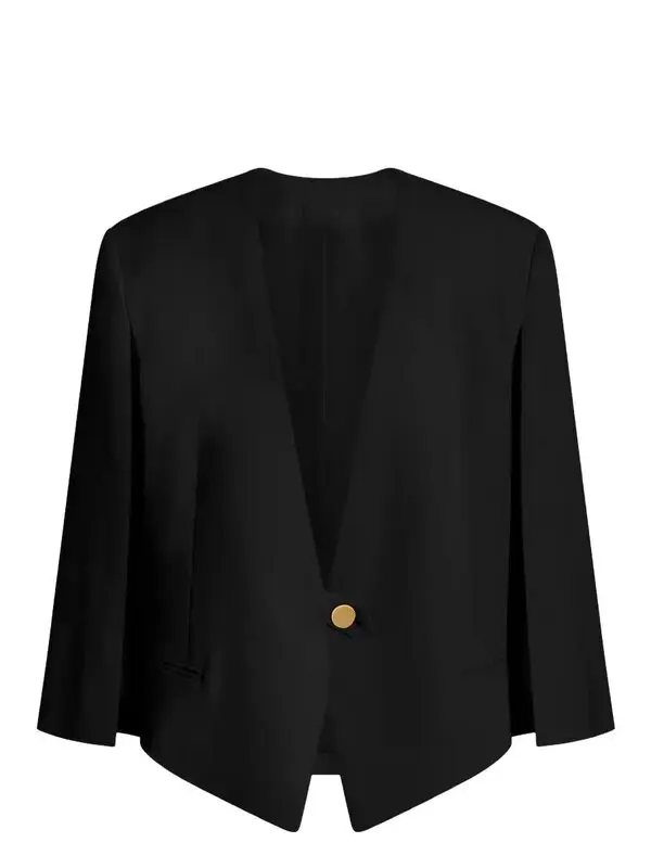 Alberta Ferretti Single-breasted V-neck Button Jacket - Black