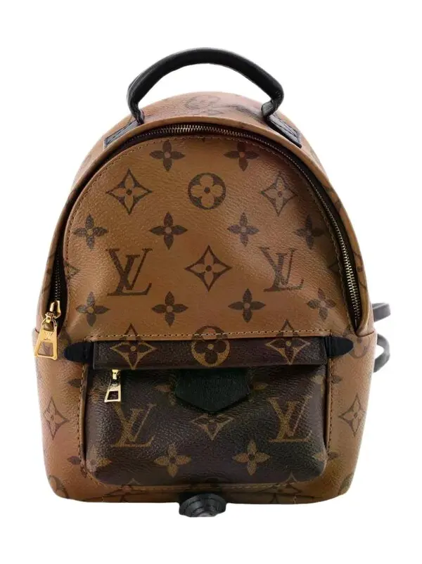 LOUIS VUITTON Palm Springs Mini Backpack - Brown