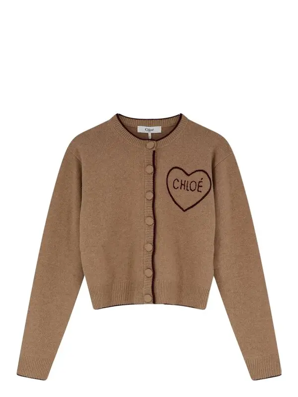 Chloé Wool And Cashmere Cardigan - Multicolor