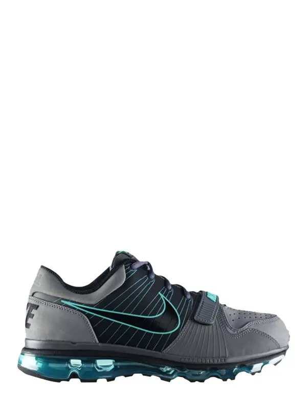 Nike Max Trainer 1+ Low - Grey