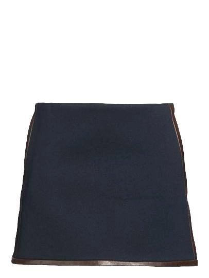Sandro Mini Skirt - Blue
