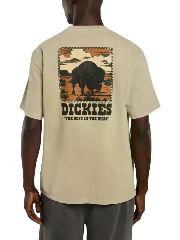 Dickies Graphic-print Relaxed-fit T-shirt - Neutrals