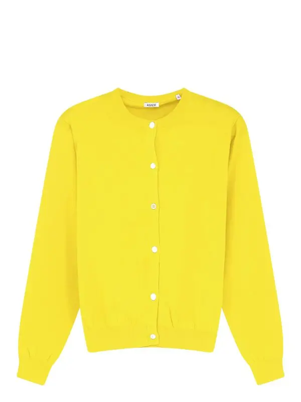 Aspesi Single-breasted Long-sleeve Knit Top - Yellow