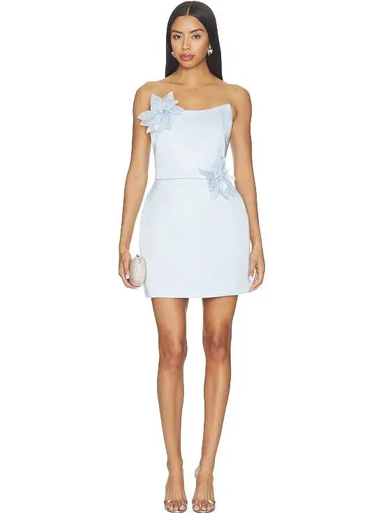 NADINE MERABI Flower Trim Mini Dress - Blue