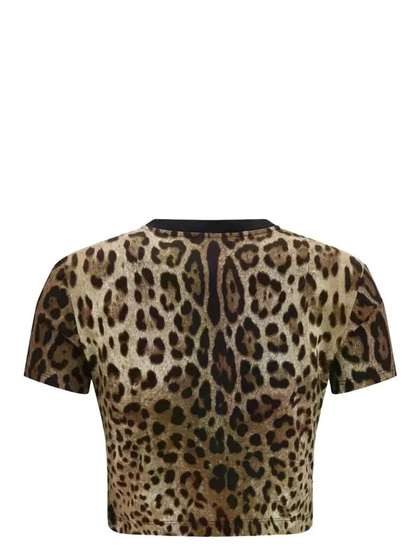 Dolce & Gabbana Leopard Print Cropped T-shirt - Brown