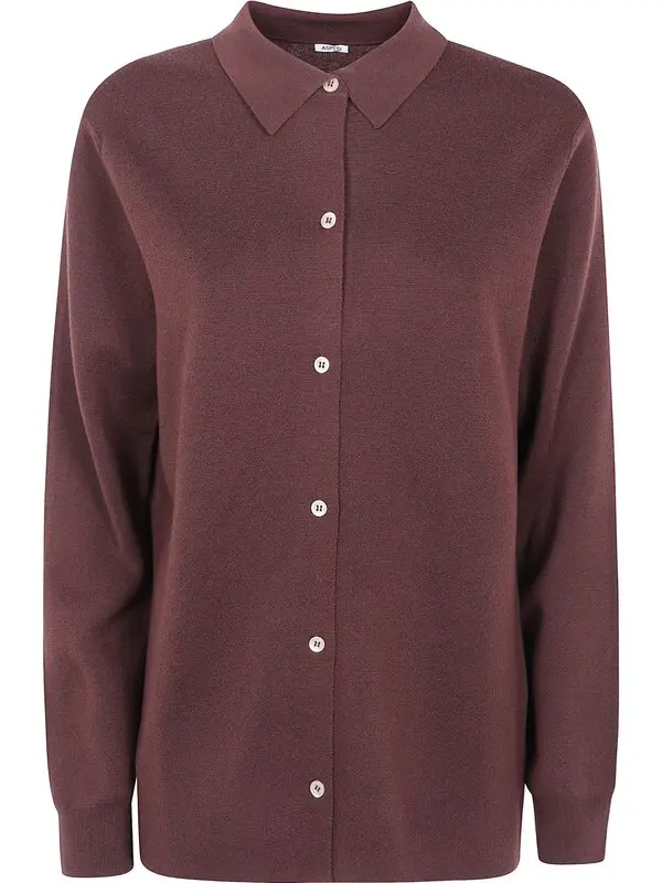 Aspesi Button-front Polo Neck Sweater In Virgin Wool - Brown