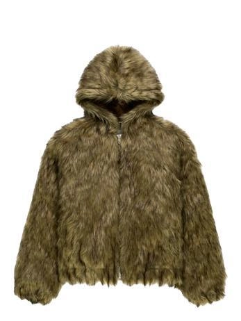 SP5DER Nocturnal Animal Jacket - Brown