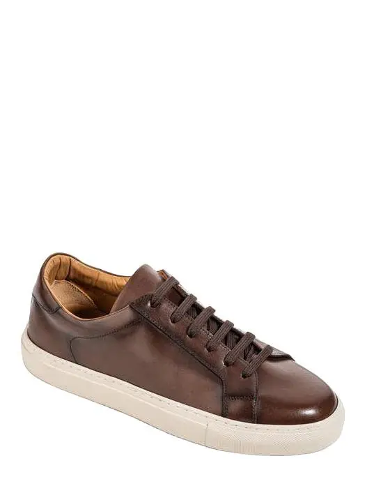 To Boot New York Gavin Burnished Calfskin Low Top Sneakers - Brown