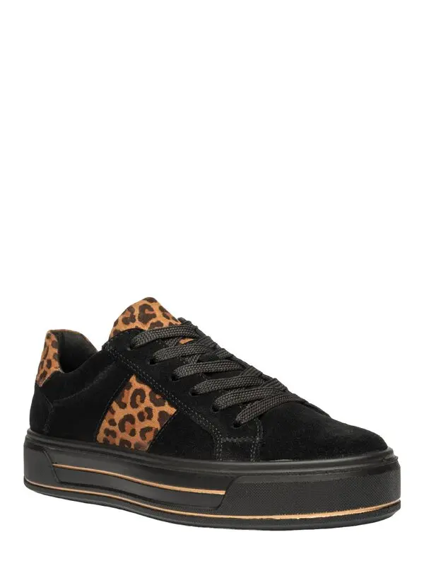 ARA Conifer Suede Leopard Print Sneakers - Black