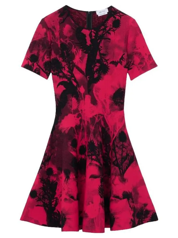 Alexander McQueen Floral Jacquard Mini Dress - Red/black