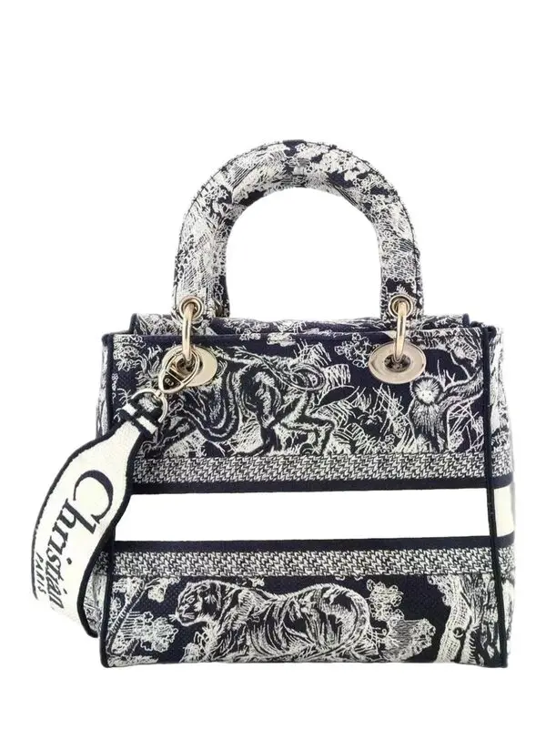 Dior Lady D-lite Bag Embroidered Canvas Medium Satchel - Blue